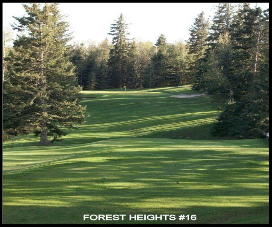 Seasonal RV Sites - Forest Heights Golf Course
